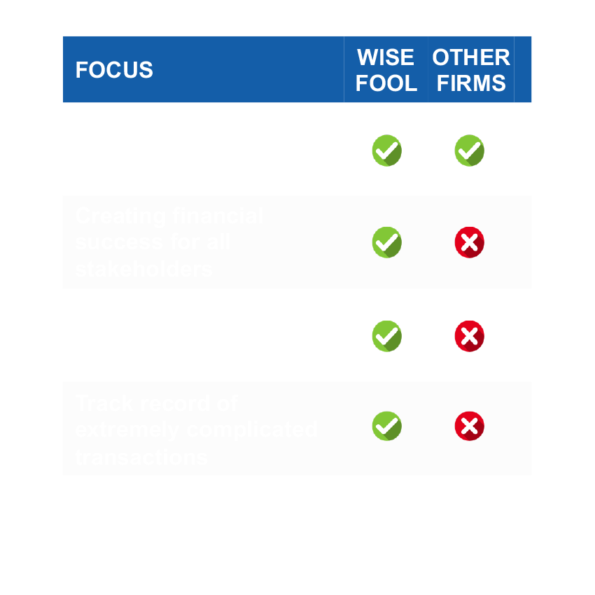 WHO WE ARE - WiseFool